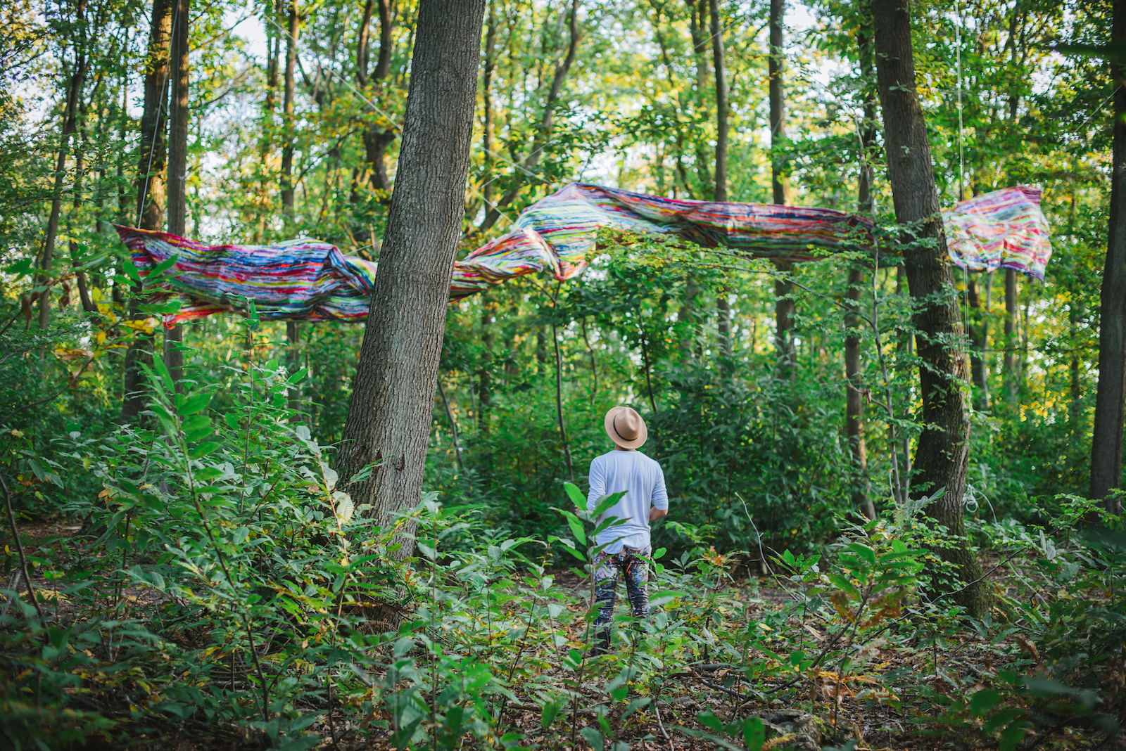 About – Yann Houri
